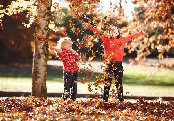 Skilled Migration Program | Canberra