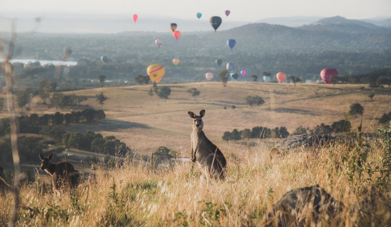 10 great walks, runs and hikes | Canberra