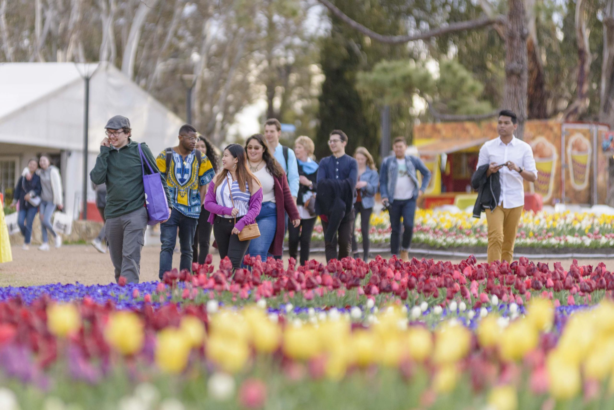 10+ annual Canberra events not to miss! | Canberra